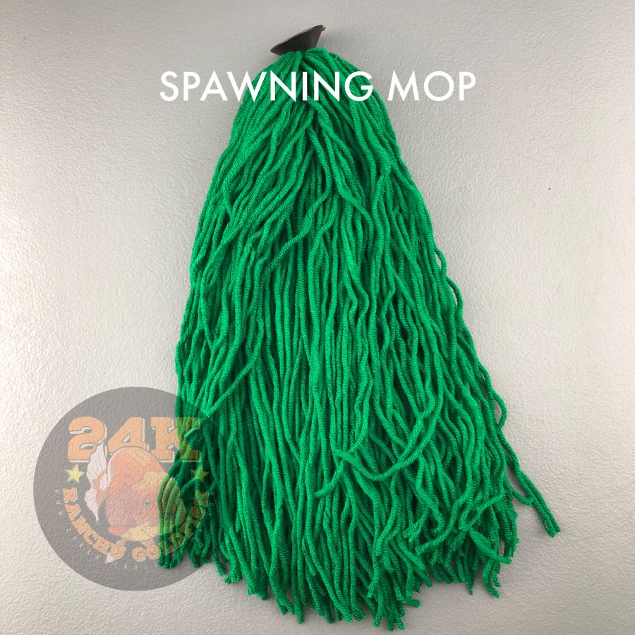 24K Spawning Mop for Aquatic Fish Breeding Goldfish/Danios/Tetras/Gupp ...